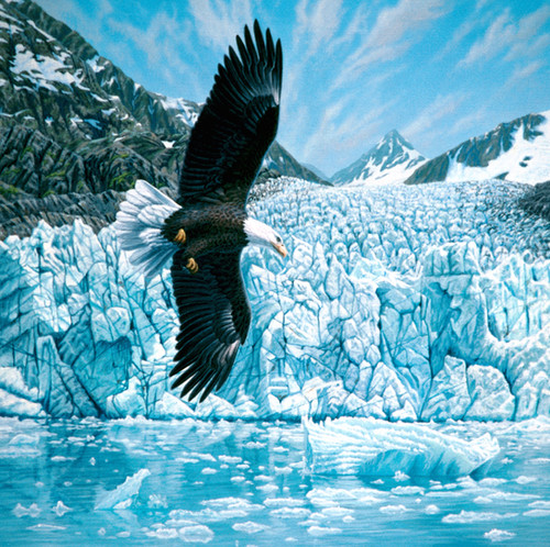 Eagle and Glacier | alaskanart