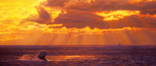 Humpback Sunset | alaskanart