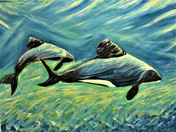 Port Douglas art Michael Bednar artist Australia artwork.