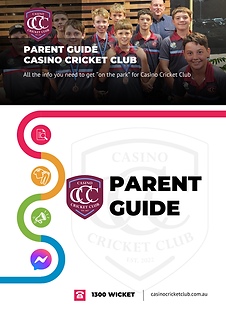 Home | Casino Cricket Club