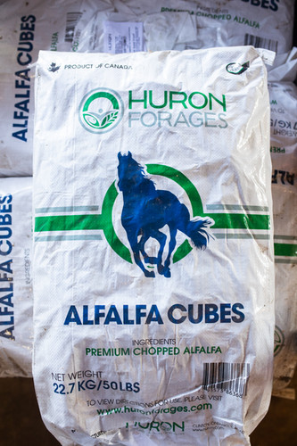 Alfalfa Cubes | Deal-Rite Feeds