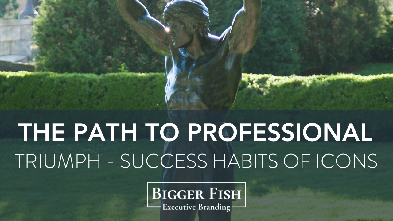 Navigating the Path to Professional Triumph: Success Habits of Icons
