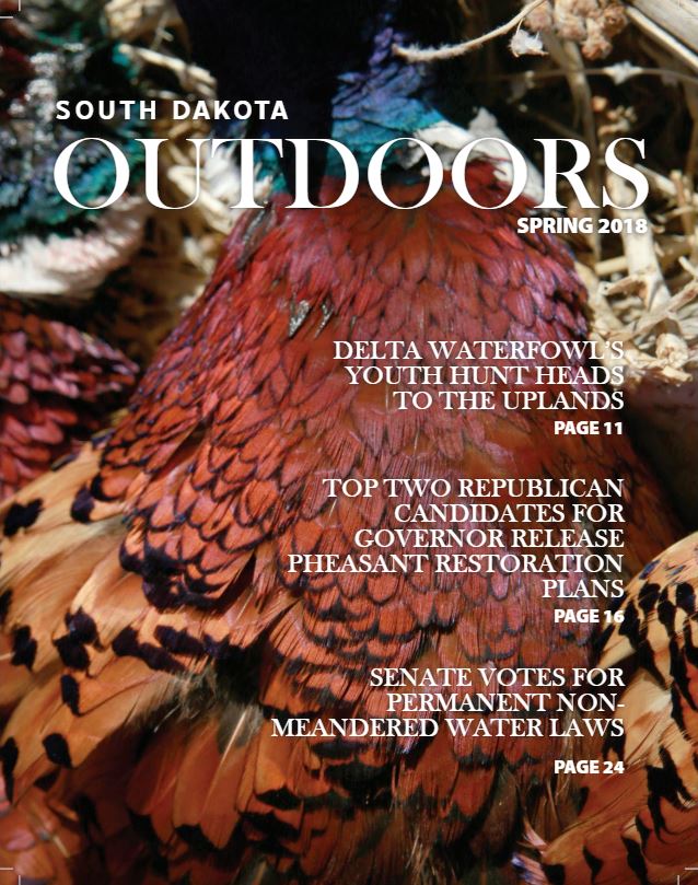 HOME | Halversonhunts