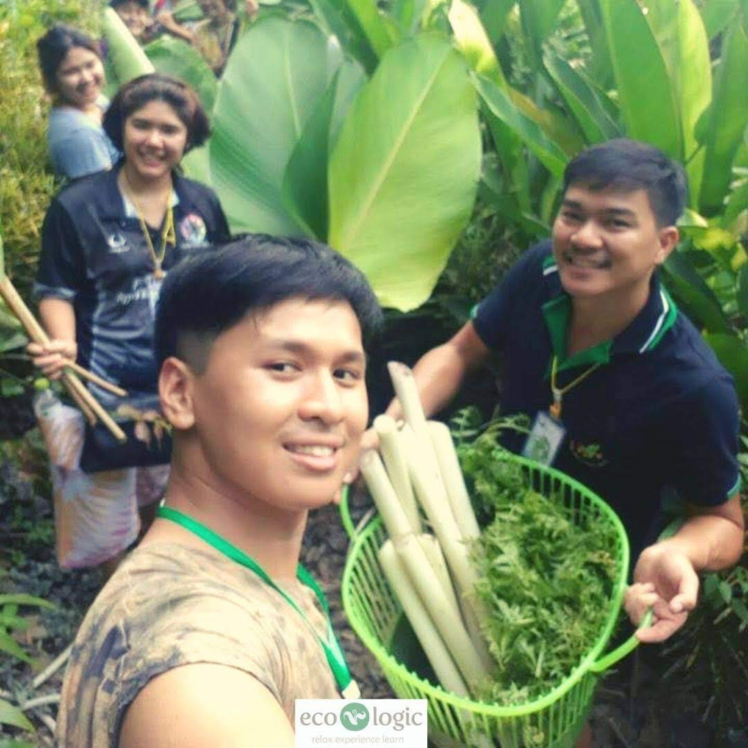 Fruit | FORAGING IN PAKSONG