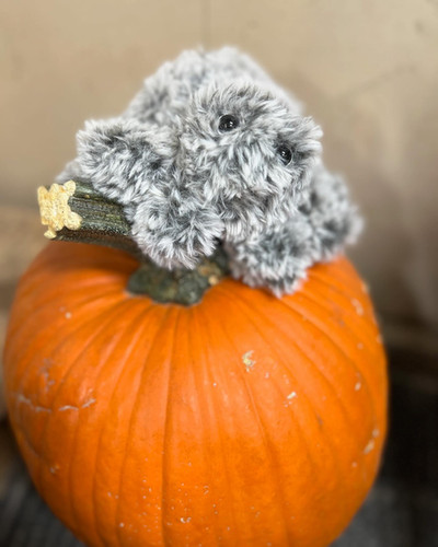 Ginger the Spider | Scar's Snugglers