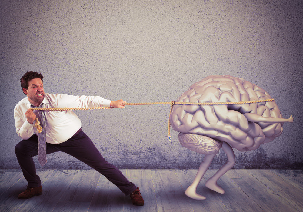 The Neuroscience of Effort-Driven Motivation: How Action Precedes Drive ...