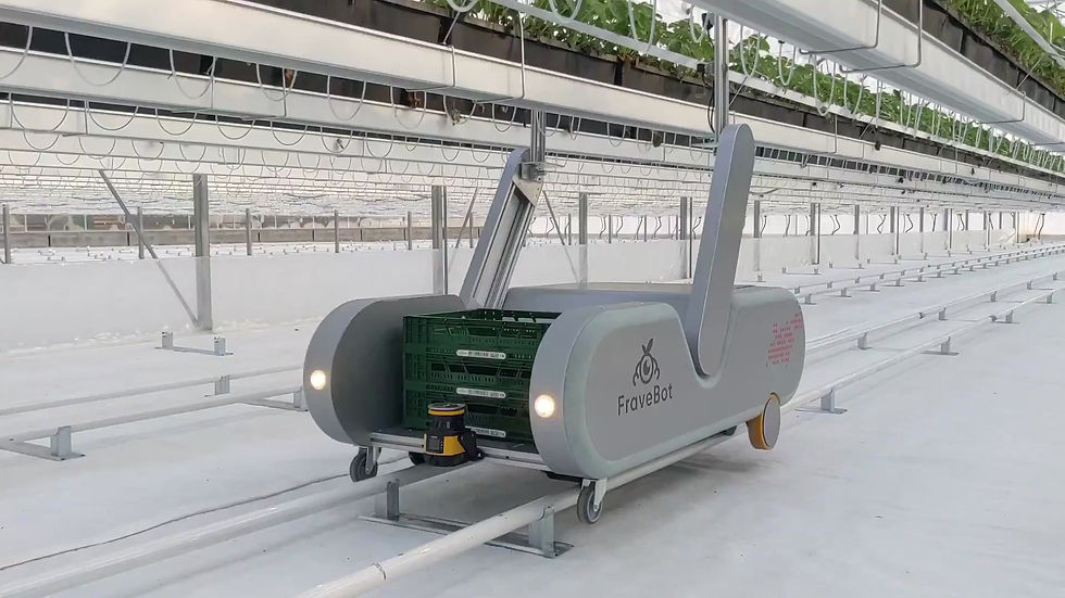 FRAVEBOT – Technology for your smart greenhouse by agriculture robot and AI