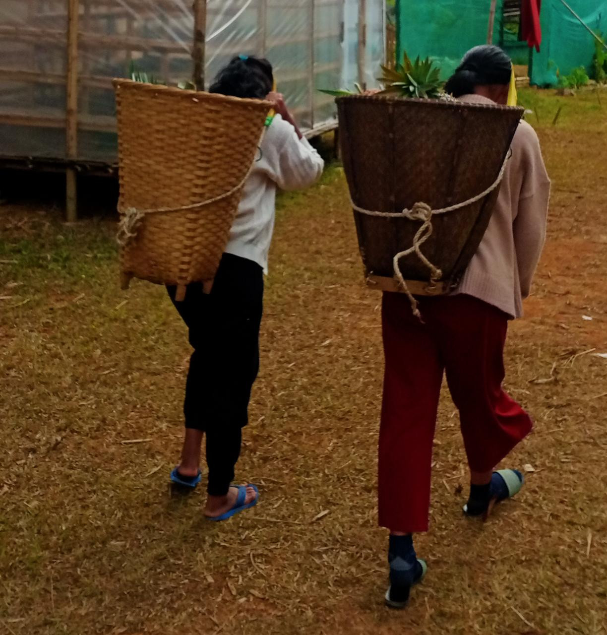 A•bani Farms | supporting farmers