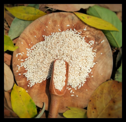 White Sticky Rice | A•BANI FARMS