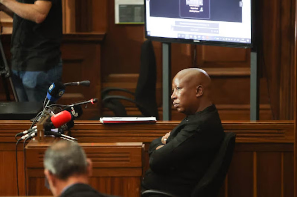 'n Maatskaplike werker getuig Malema is nie 'n kandidaat vir die tronk nie