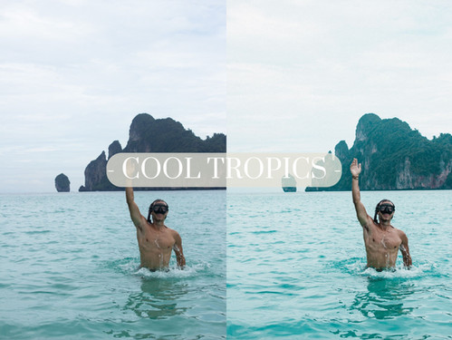 COOL TROPICS | Chloe Holden