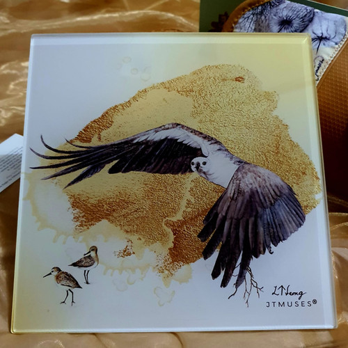 Acrylic Potholder-Trivet-Sea Eagle- 20cm square | glimpsesofedenart