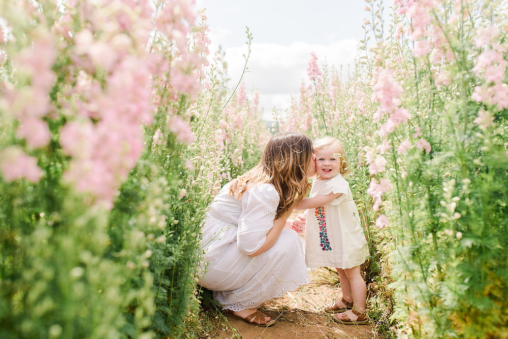 Confetti Field Photo Shoots 2024