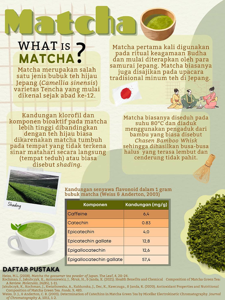 FUNFACT ABOUT MATCHA