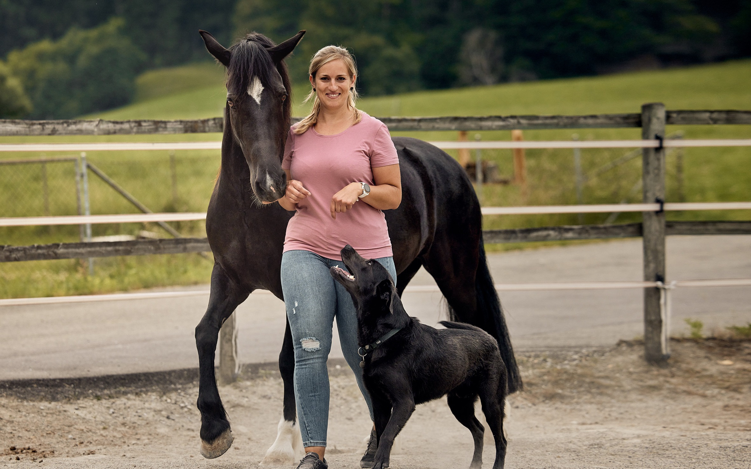 Tiertherapie Anna Neff | Tiershiatsu und BEMER Physikalische ...