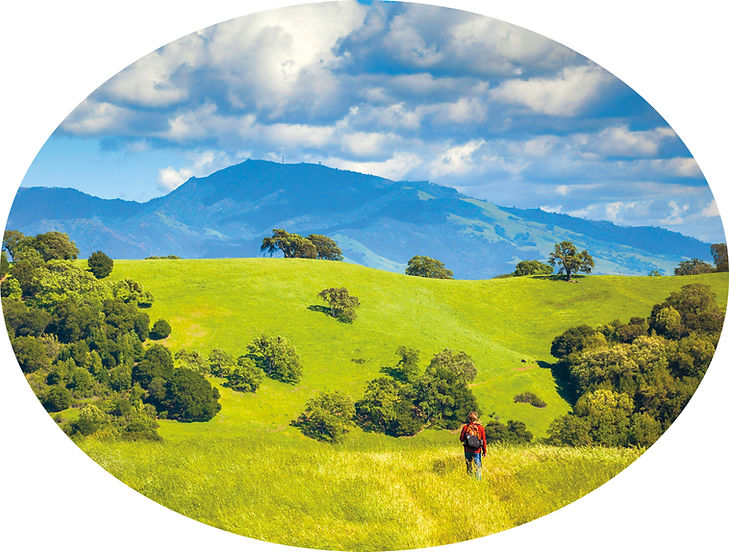 Alhambra Highlands | Save Alhambra Hills Open Space | Martinez