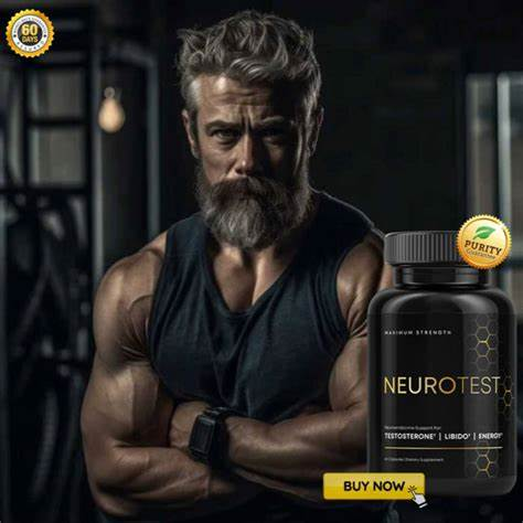 Unveiling the Power of NeuroTest: A Comprehensive Review