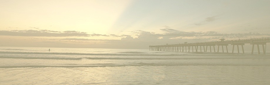 SUSAN L. HARTMAN | Susan L. Hartman PLLC | Jacksonville Beaches, FL