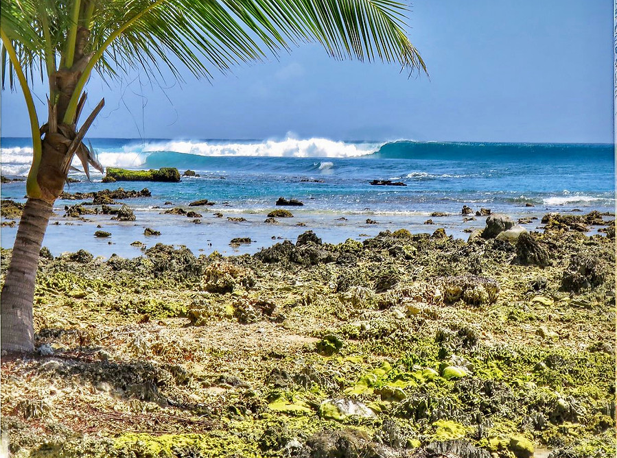 Surf | Dylan's Retreat Simeulue | Aceh