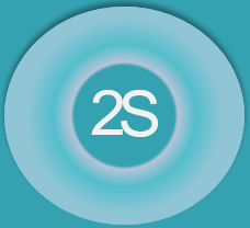 2 Solutions Advisory | Financial Services