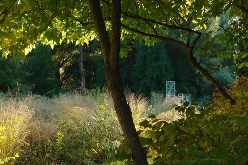 Cultivating Minds Series: Rick Darke: The Wild Garden in the 21st ...