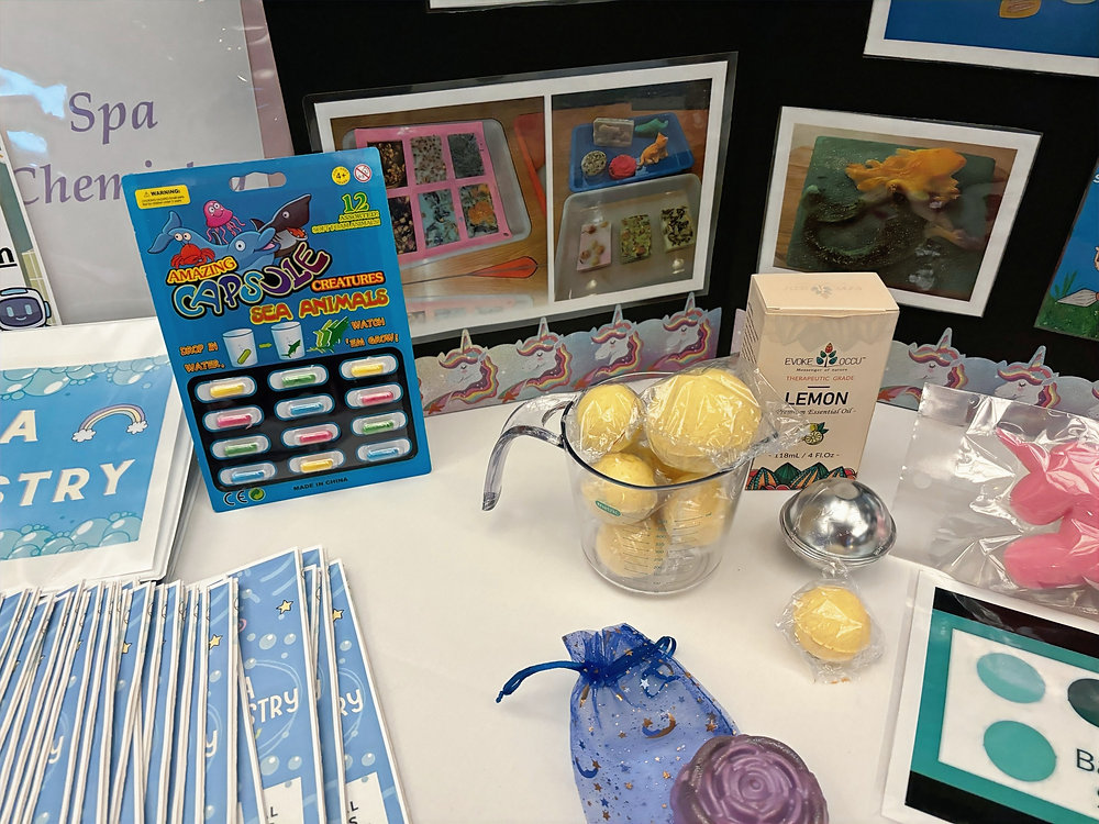 STEM Fair 2024 Highlights