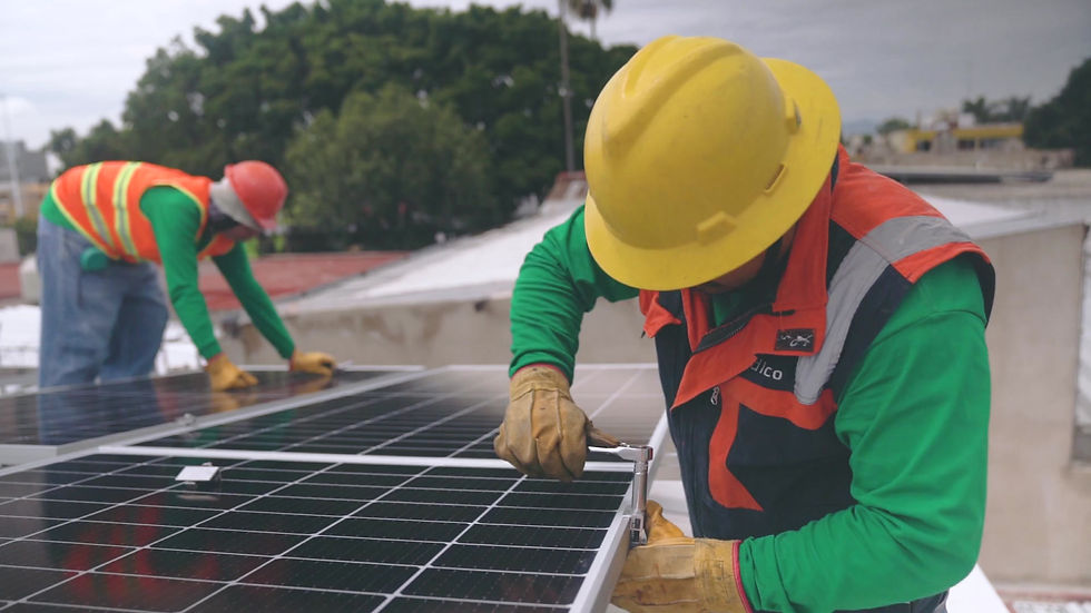 Home | Net Zero Careers Accelerator | Greater London