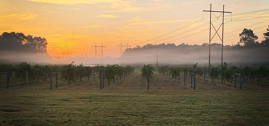 About Us | OTL Farms