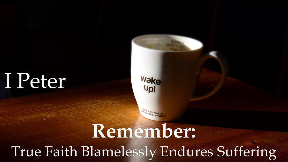 Introduction to I Peter (manuscript)