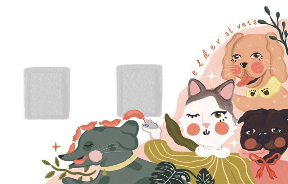 Elder St Vets | Newcastle vet clinic | 124-126 Elder Street, Lambton NSW, Australia