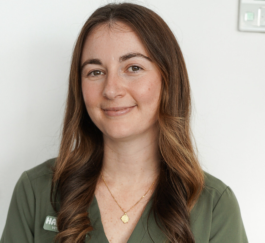 Team | Elder St Vets