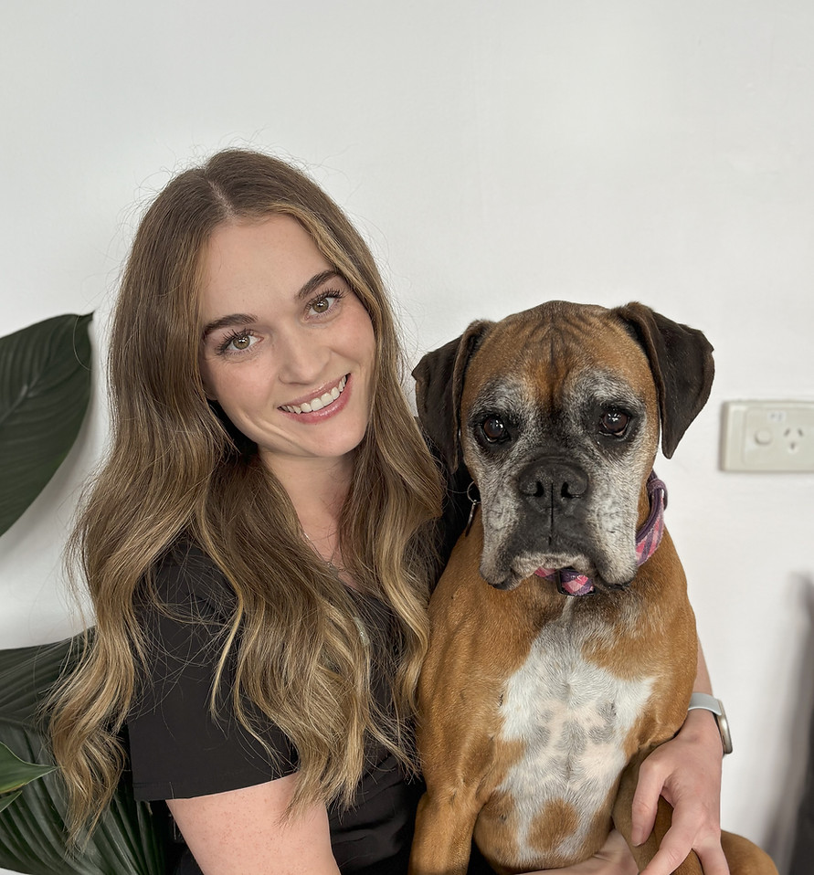 Team | Elder St Vets