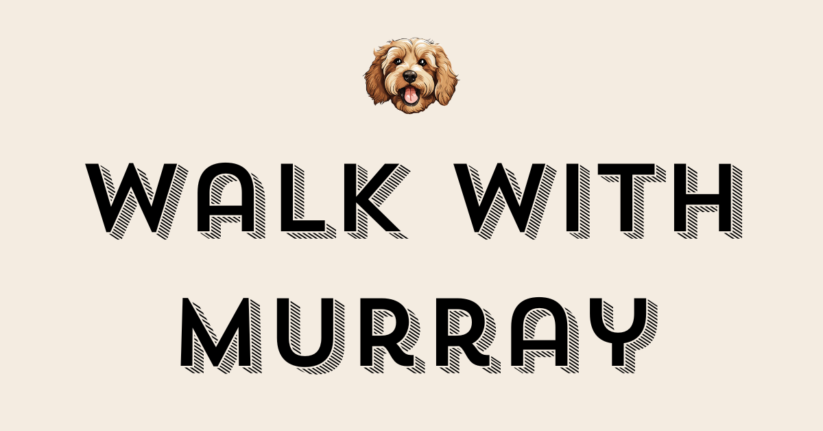 Walk with Murray | Dog Walking in Park Slope