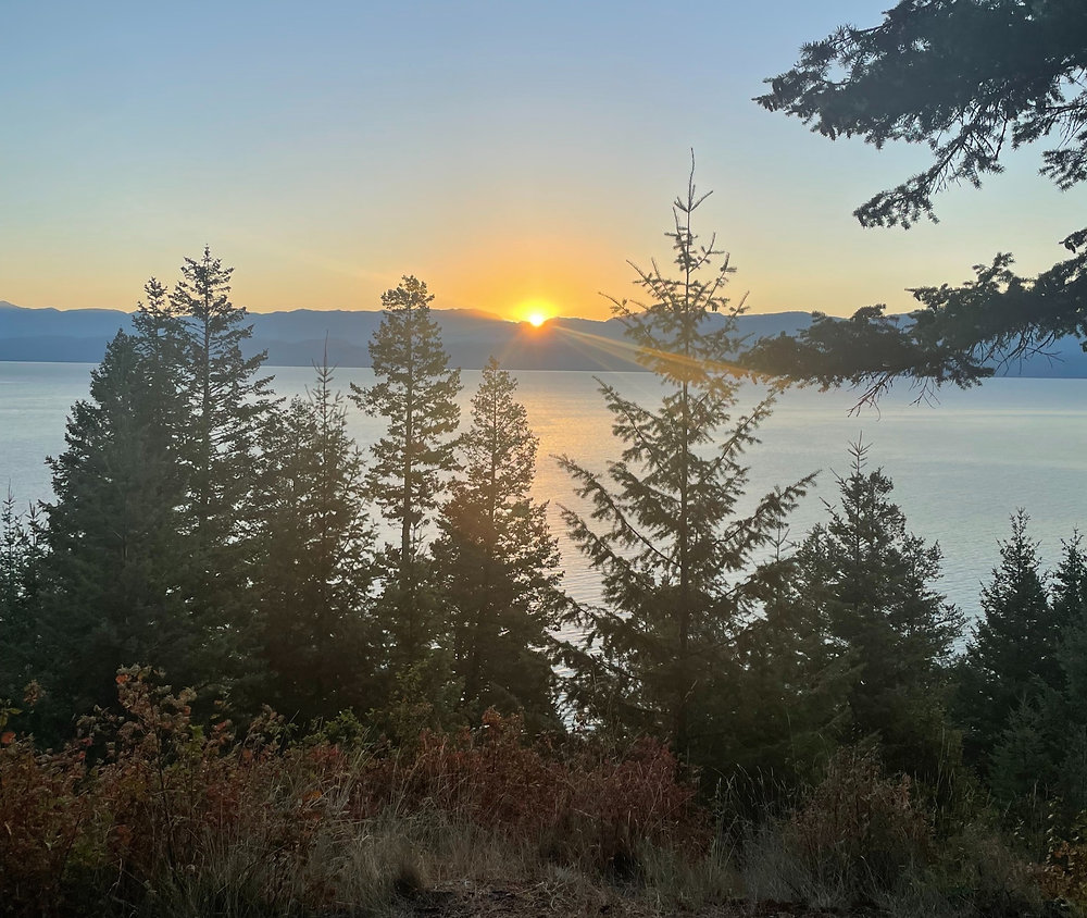 Welcome to MMEA's New Website!