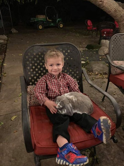 Traveling Pony & Petting Zoo | Dingle Family Farm