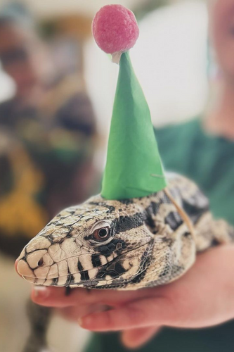 Birthday Party Extra Staff | Barn Nature Center