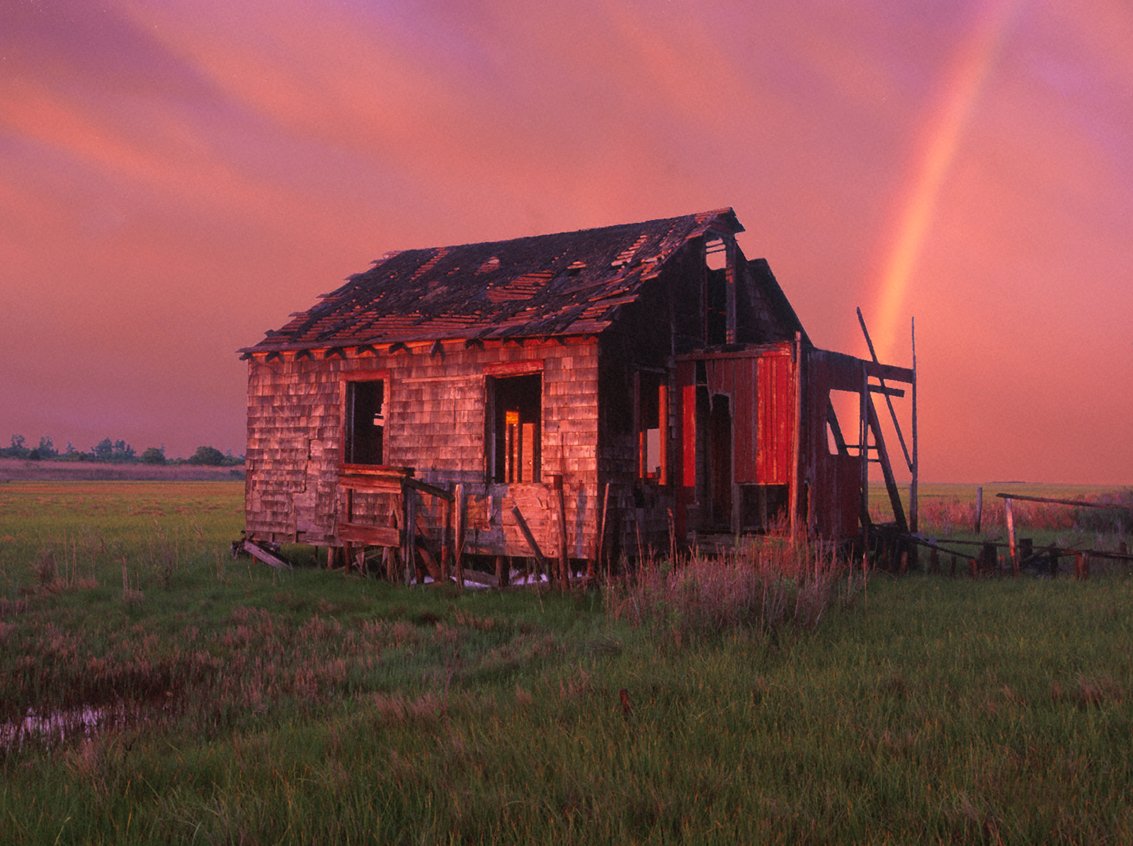 Long Beach Island NJ | birdsphoto
