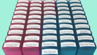 Gallery | Stamps & Chops