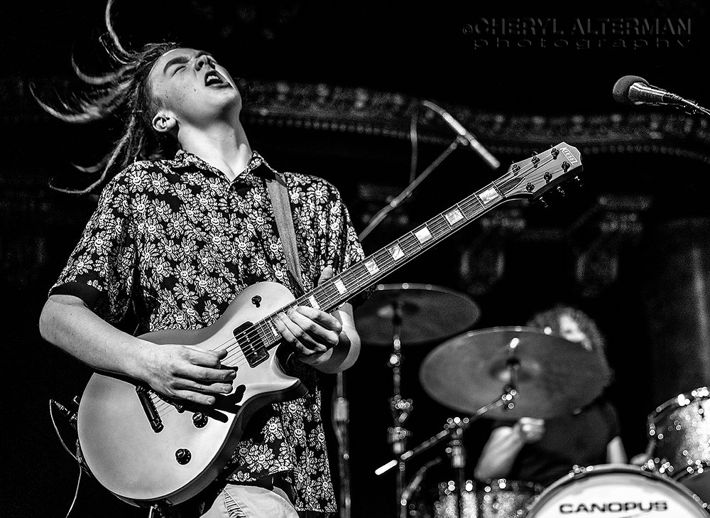 Attention All Guitar Fans...