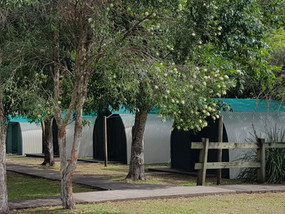 Gallery | Spring Gully Stays | Queensland