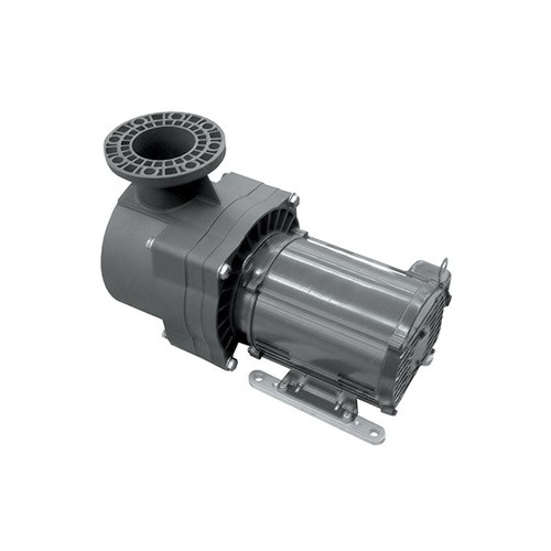 Verus 850 Pumps | PacificFountainSales