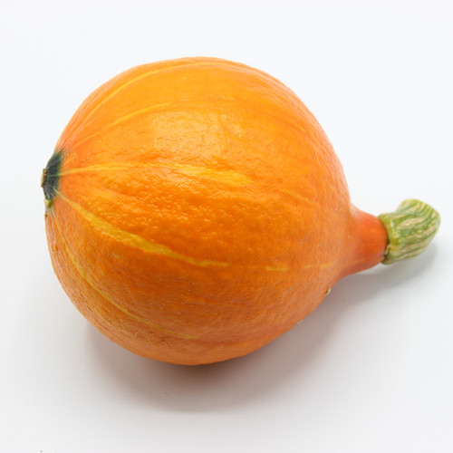 Squash Seeds 'UCHIKI (RED) KURI' ORGANIC | Ethical Organic Seed