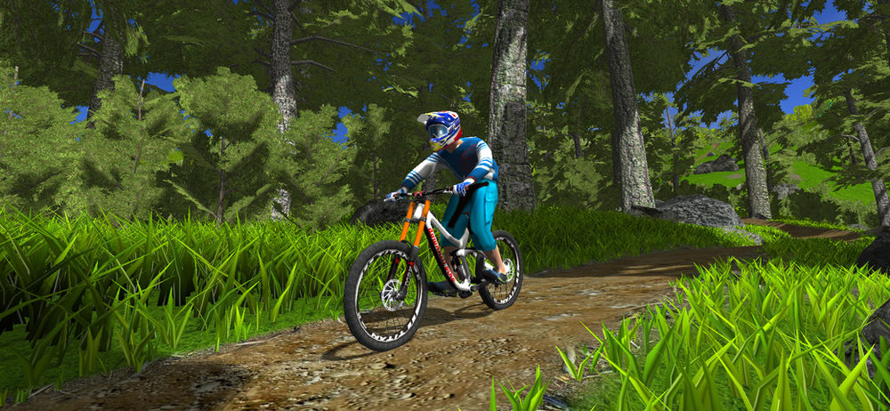 mtb game simulator images