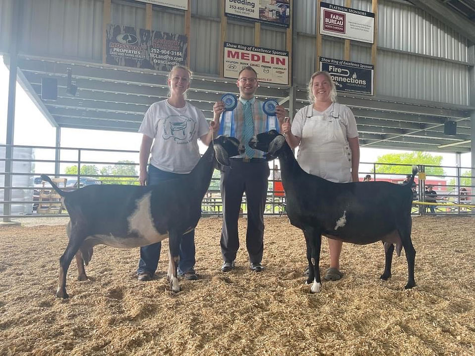 HOME | Holcomb Farm Nubians
