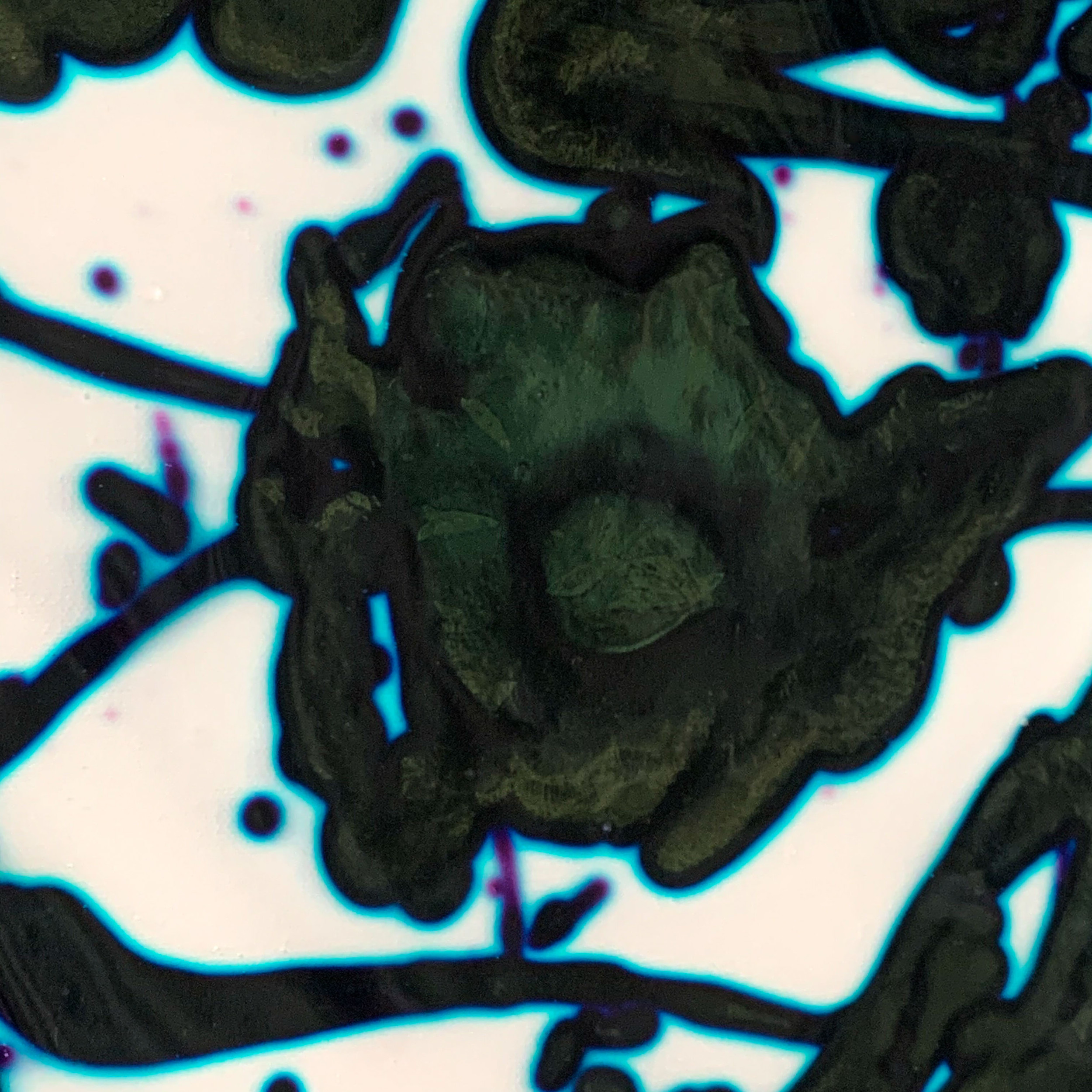 Gallery | Evan Stoler art