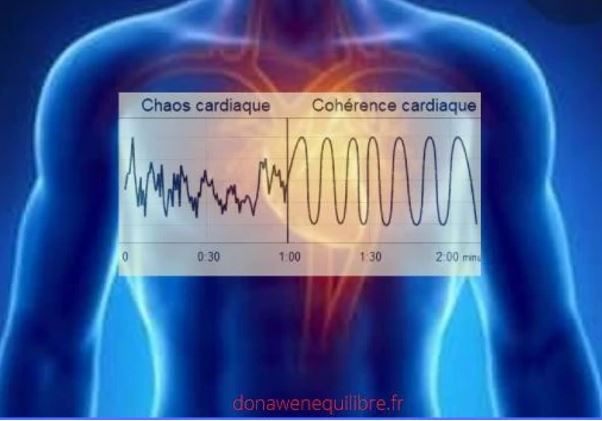 La Cohérence Cardiaque : un état physiologique réflexe