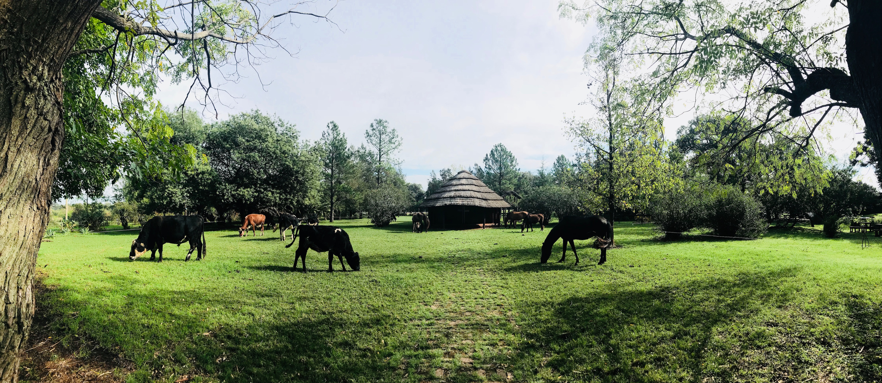 Chacra El Rancho, Open Door | Chacra Educativa y Actividades de Campo