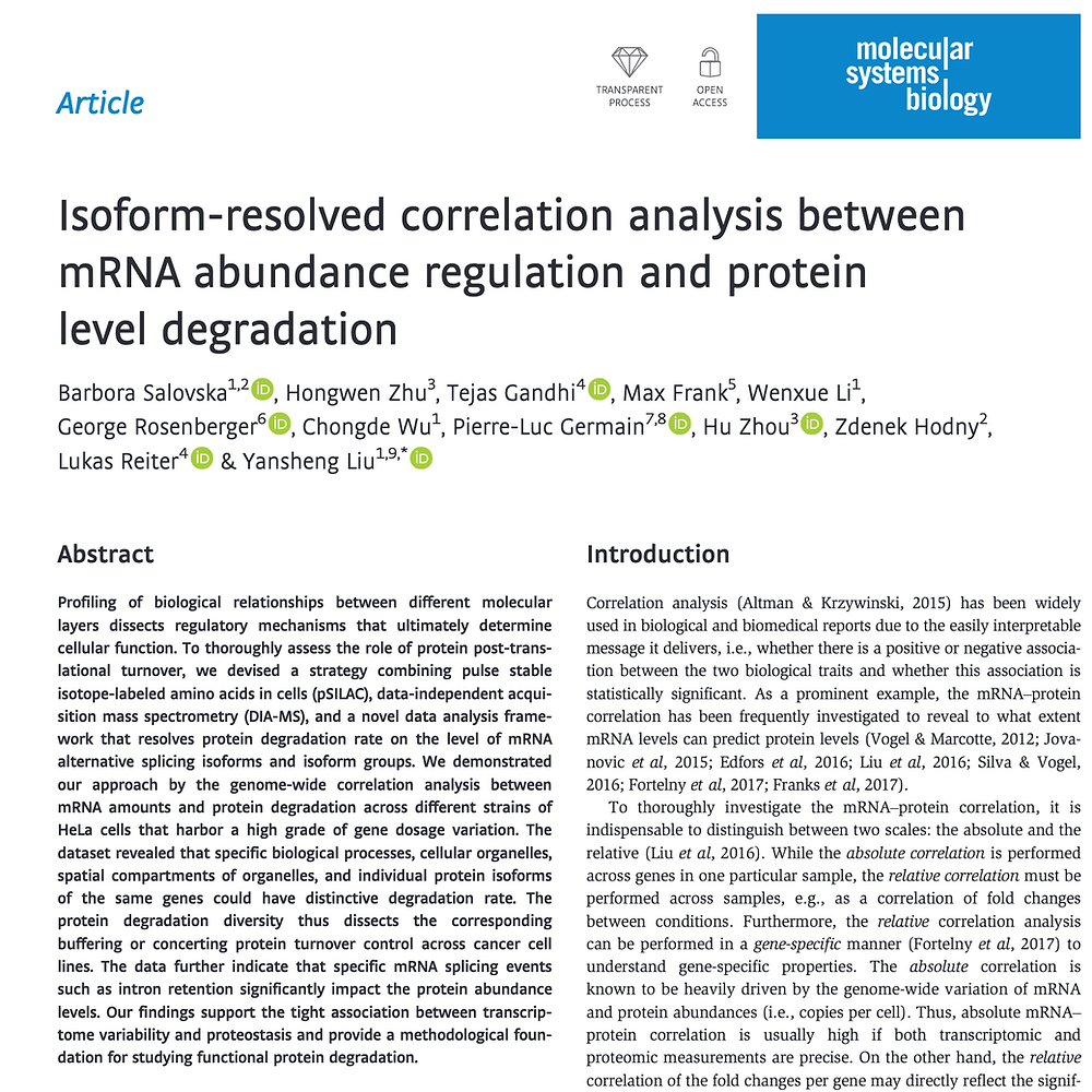 pSILAC-DIA for measuring protein turnover with DIA-MS