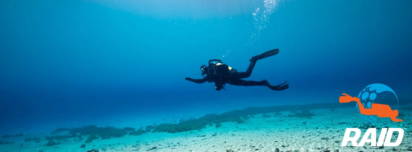 Courses | Dive In Bintan