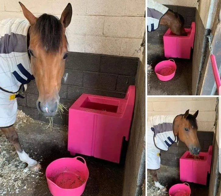 Haycube health benefits | Haycube Ltd | Leicester